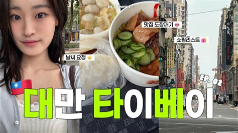 대만 가고 싶어지는 영상 ೫‧₊ 타이베이 브이로그 Ep02 🇹🇼 융캉제 쇼핑 하울 • 구글평점 49 훠궈 맛집 등등 3박4일 대만여행 Vlog 🌳 Youtube