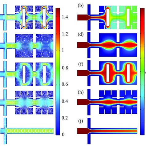 Velocity Field Distribution Ms And Concentration Field Distribution Download Scientific