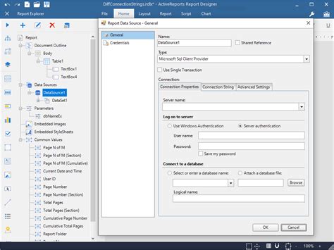 Use Dynamic Connection String In Data Source Activereports 18 Net