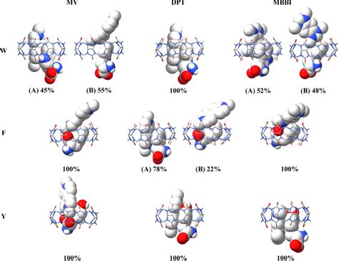 Md Average Structures Of The Ternary Complexes Download Scientific