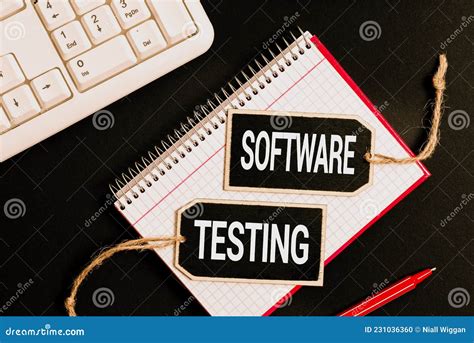 Text Caption Presenting Software Testing Business Idea Evaluate The Functionality Of A Software
