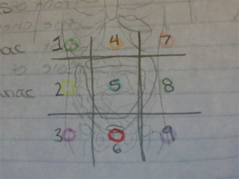 A P Chapter Flashcards Quizlet