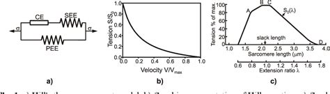 Figure 1 From Modeling Of Musculoskeletal Systems Using Finite Element Method Semantic Scholar