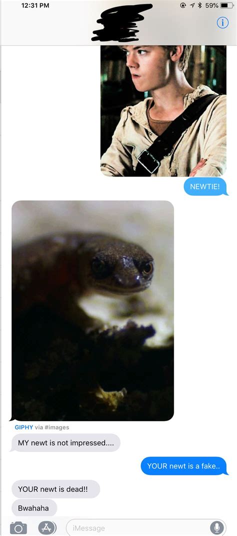 Pin by 𝐀𝐯𝐞𝐫𝐲 𝐁𝐥𝐚𝐢𝐫 on Maze runner stuff Newt maze runner Maze runner series Maze runner imagines