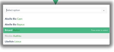 How To Change Vue Multiselect Component Box With Ccs Html Css Sitepoint Forums Web