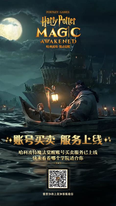 哈利波特魔法觉醒海报