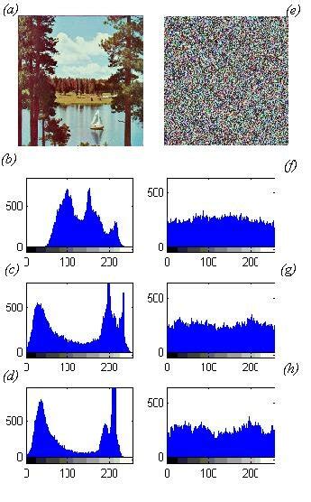 Histogram Analysis Frame A Shows A Plain Image Frames B C And Download Scientific