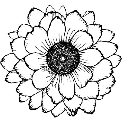 Imagenes Para Colorear De Flores Grandes