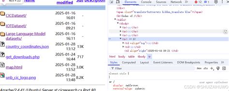 Python学习心得cicdataset2020 Csdn博客