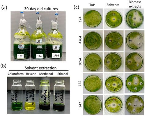 Biology Free Full Text Bioactive Compounds With Pesticide Activities Derived From Aged