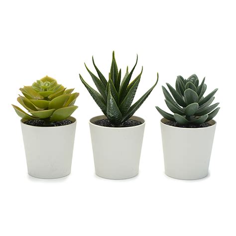 [이케아] Fejka 페이카 인조 다육 식물 화분 6cm 3개 플랜트 소품 인테리어 미니 다육이 Doti 갓생을 위한 올인원 스토어