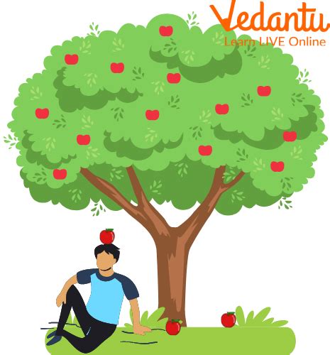 Isaac Newtons Contributions Explained Laws Discoveries And Impact