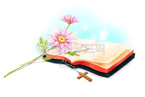 꽃일러스트 기독교 크리스천 아이들 성경학교 사진 이미지 일러스트 캘리그라피 Jinseo작가
