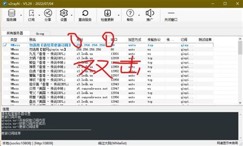V2rayng Windows下如何使用教程 Gowall