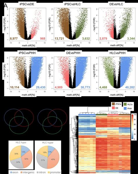 Differential Dna Methylation Analysis By Rrbs Reveals Pronounced Dna Download Scientific