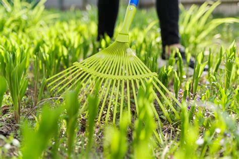 Spring Cleaning Green Horizons Lawn Care