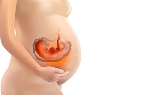 태아 및 아기 어머니의 자 궁 태아에에서 붉은 색조와 함께 그림으로 3d 스캔에 대한 스톡 사진 및 기타 이미지 3d 스캔