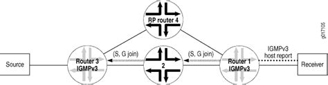 Example Configuring Source Specific Multicast Groups With Any Source