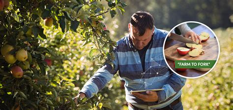 Agrivis Advanced Traceability Dashboard Enhances Food Safety And