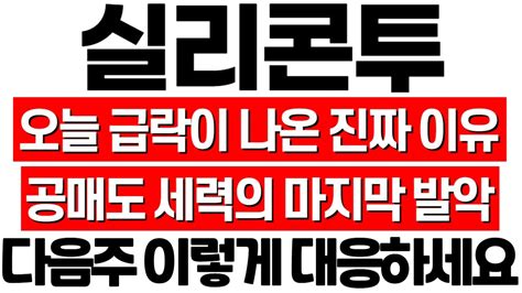 실리콘투 주가 전망 오늘 급락이 나온 진짜 이유 공매도 세력의 마지막 발악 긴급 대응 전략 공유 실리콘투 주식 분석 실리콘투 목표가 실리콘투 김성운 기업분석