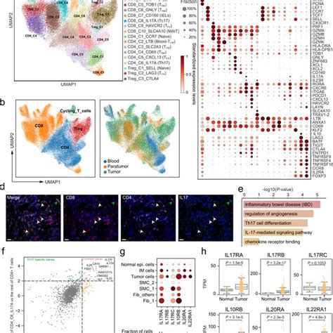 Characterization Of The Gastric Cancer Tumor Microenvironment By