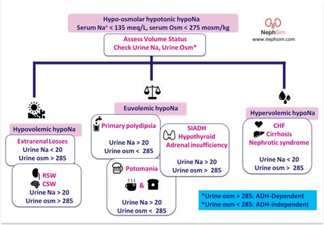 Image Gallery Nephsim