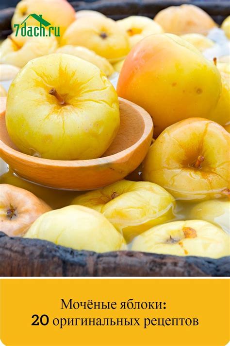 Моченые яблоки 20 оригинальных рецептов
