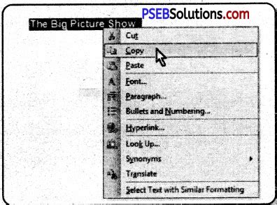 PSEB Th Class Computer Solutions Chapter Windows Explorer PSEB Solutions