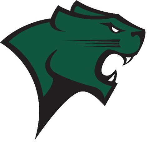 Wagner Seahawks Vs Chicago State Cougars Odds Betting Lines Expert