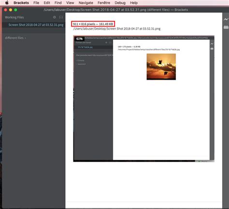 Dilato I18n Epv The Image Info In Brackets Is Not Localized