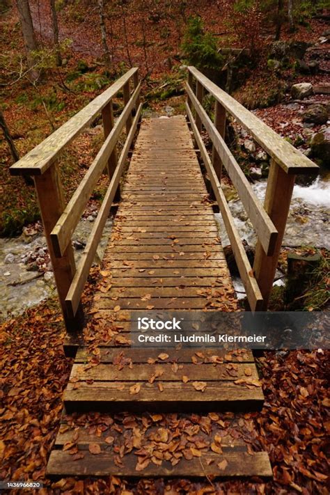 가을 오스트리아 숲 오렌지 단풍은 카펫과 같습니다 숲에는 단풍이 흩어져 있습니다 가을 숲의 다리와 사다리 나무에 종교 명판 가을에 대한 스톡 사진 및 기타 이미지 Istock