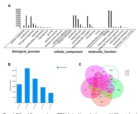Differentially Expressed Genes Degs During Rhizome Development A