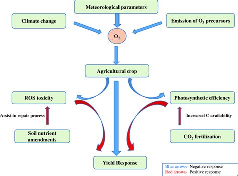 1 Approaches Using Different Agronomic Practices To Compensate O 3