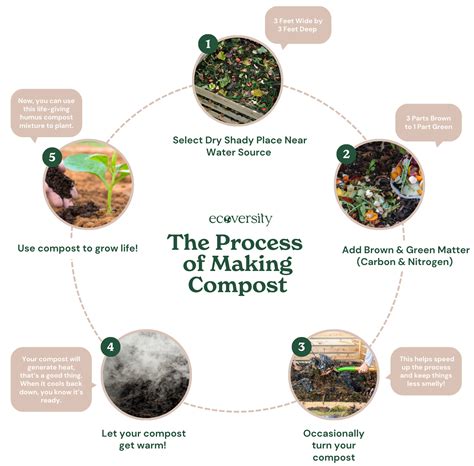 Composting Vs Recycling Understanding The Differences