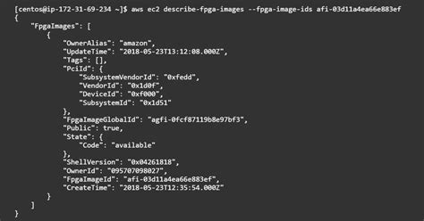 Amazon Fpga Image Afi Generation And Management Flow Fpga Workshop
