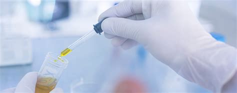 Comprehensive Lab Testing Services Diagnostic Assessments