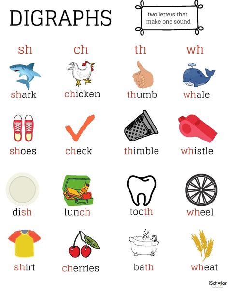 Digraphs Poster Etsy