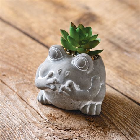 Rustic Farmhouse Frog With Succulent