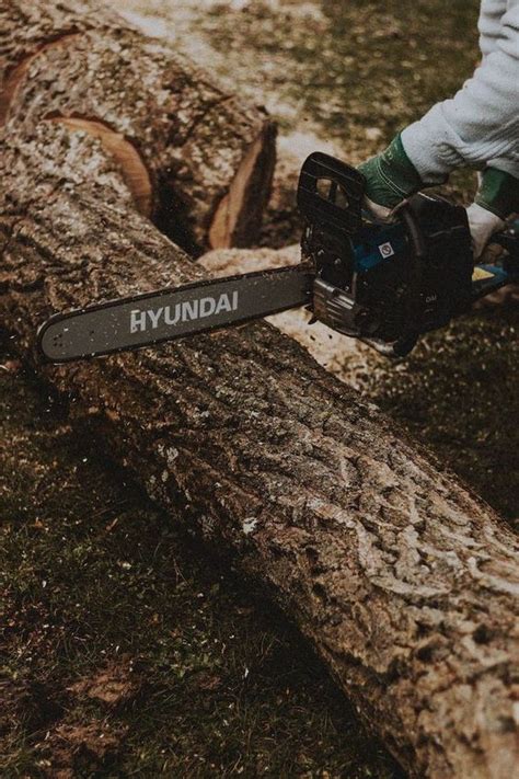 Via 184742709e94756571532bc9218d86ab 564846 Tumbex