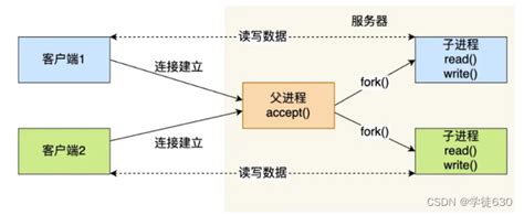 理解tcp Socket编程模型和io多路复用技术tcp的io复用 Csdn博客