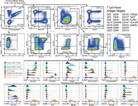4套25色 人外周血pbmc方案，涵盖64种marker，免疫解析新高度 知乎