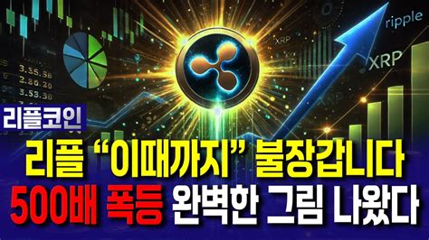 리플 전망 시나리오 나왔습니다 이때까지 불장 갑니다 Youtube