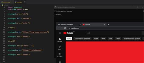 Modüller Pyautogui Cyberworm