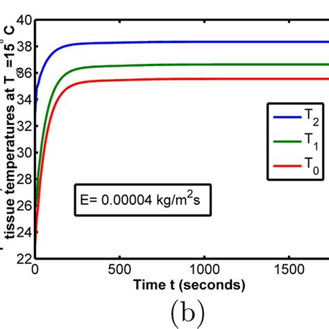 Estimation Of The Epidermis Dermis And Subcutaneous Tissue Download Scientific Diagram