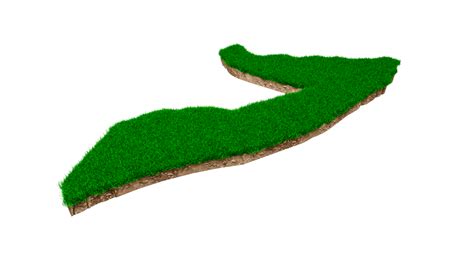 Grass Plan Pngs For Free Download