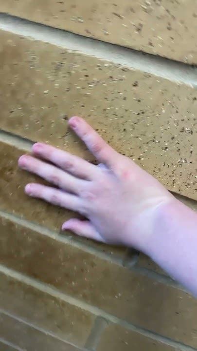 Breaking School Rules Part1 Youtube