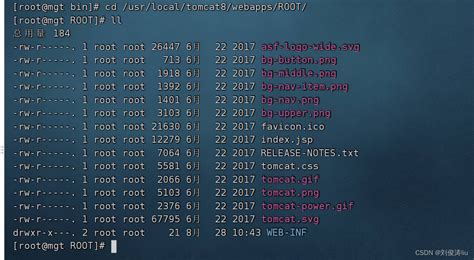小白带你学习linux的lnmt和动静分离(三十九) Csdn博客 小白带你学习linux的lnmt和动静分离(三十九) Csdn博客