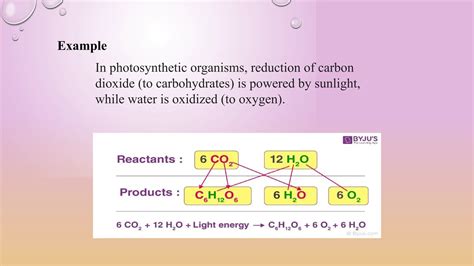 Redoxreaction Oxidation And Reduction Microbial Physiologypptx