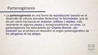 Reproduccion Asexual Pptx