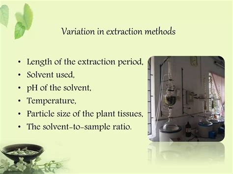 Phytochemical Extraction Ppt Herbs And Supplements Alternative